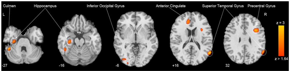 Capturing spirituality – The Immanent Frame