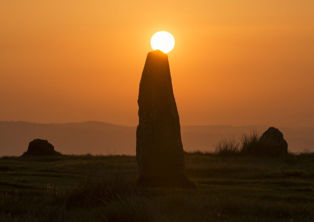 In the Garden – The Immanent Frame