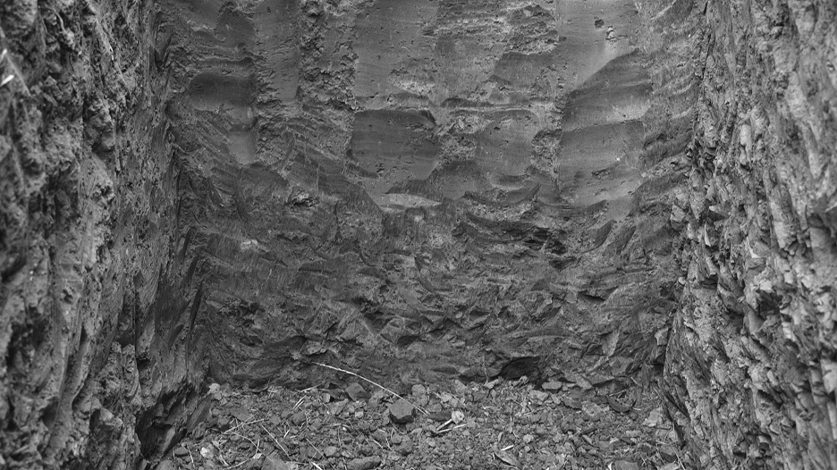 Earth – The Immanent Frame