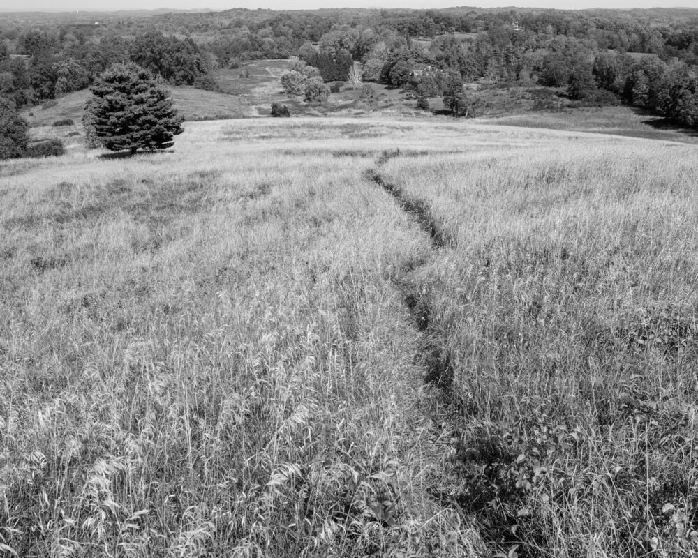 Refusing the choice: Neither academic nor novelist, an experiment in ...